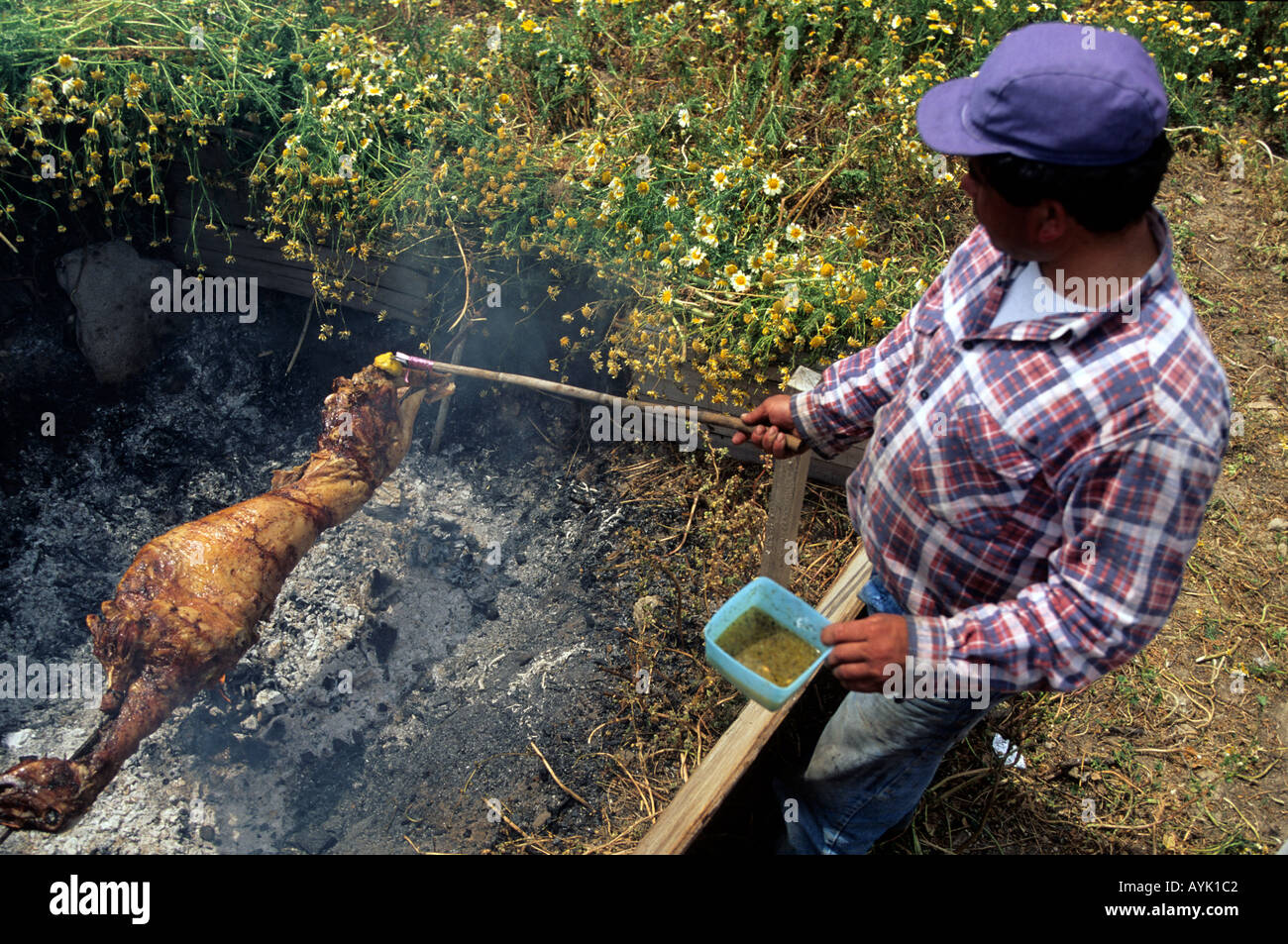 Traditional paschal lamb hi-res stock photography and images - Alamy