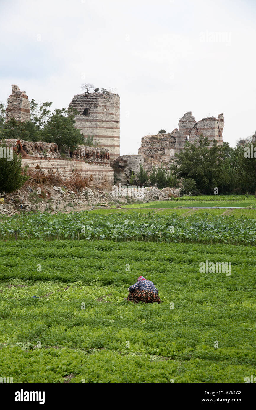Roman farming hi-res stock photography and images - Alamy