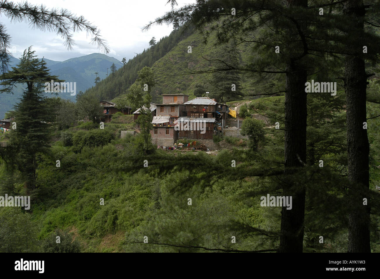 India Kullu District Himachal Pradesh landscape near Nagar Northern ...