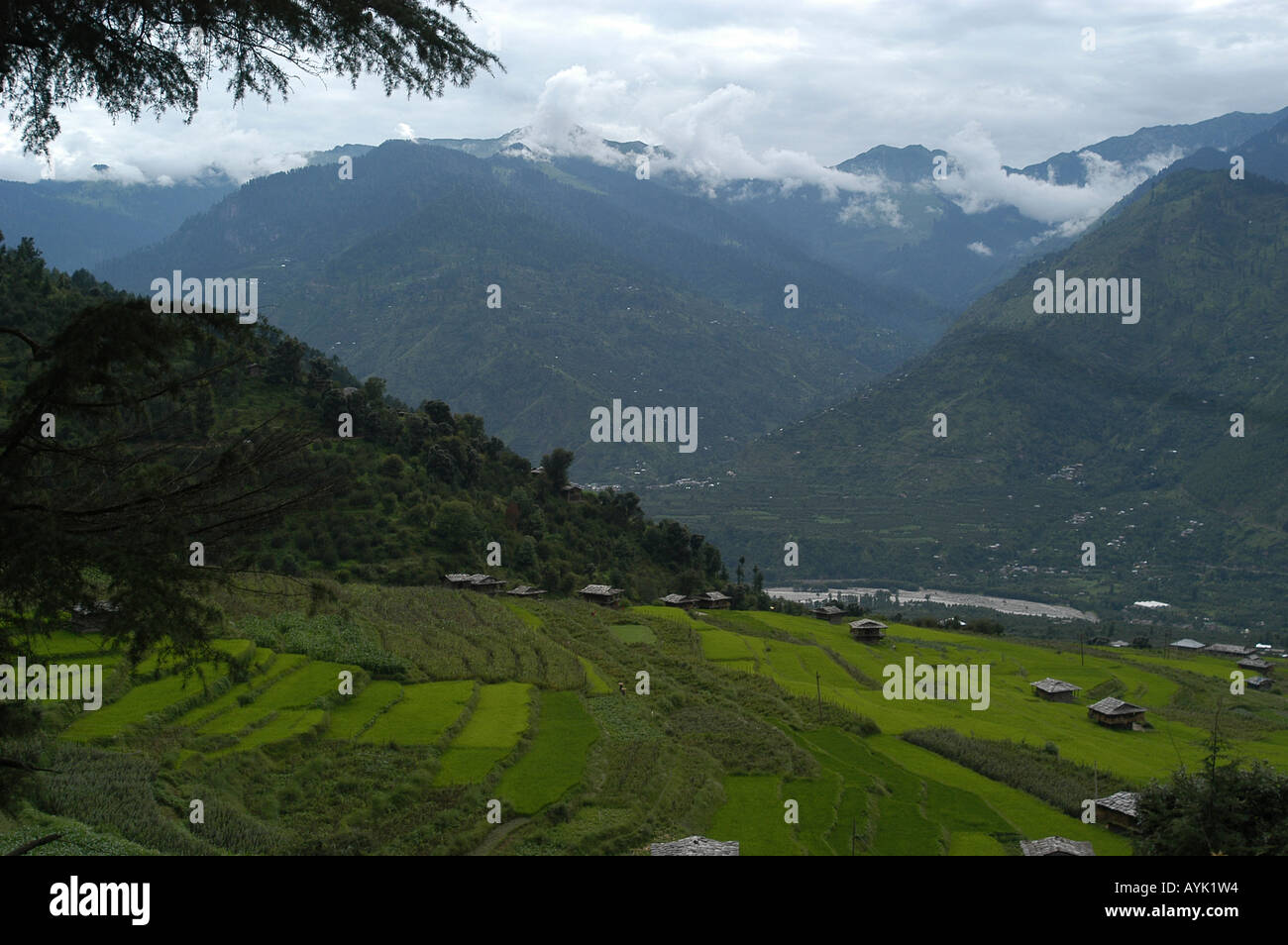 India Kullu District Himachal Pradesh landscape near Nagar Northern ...