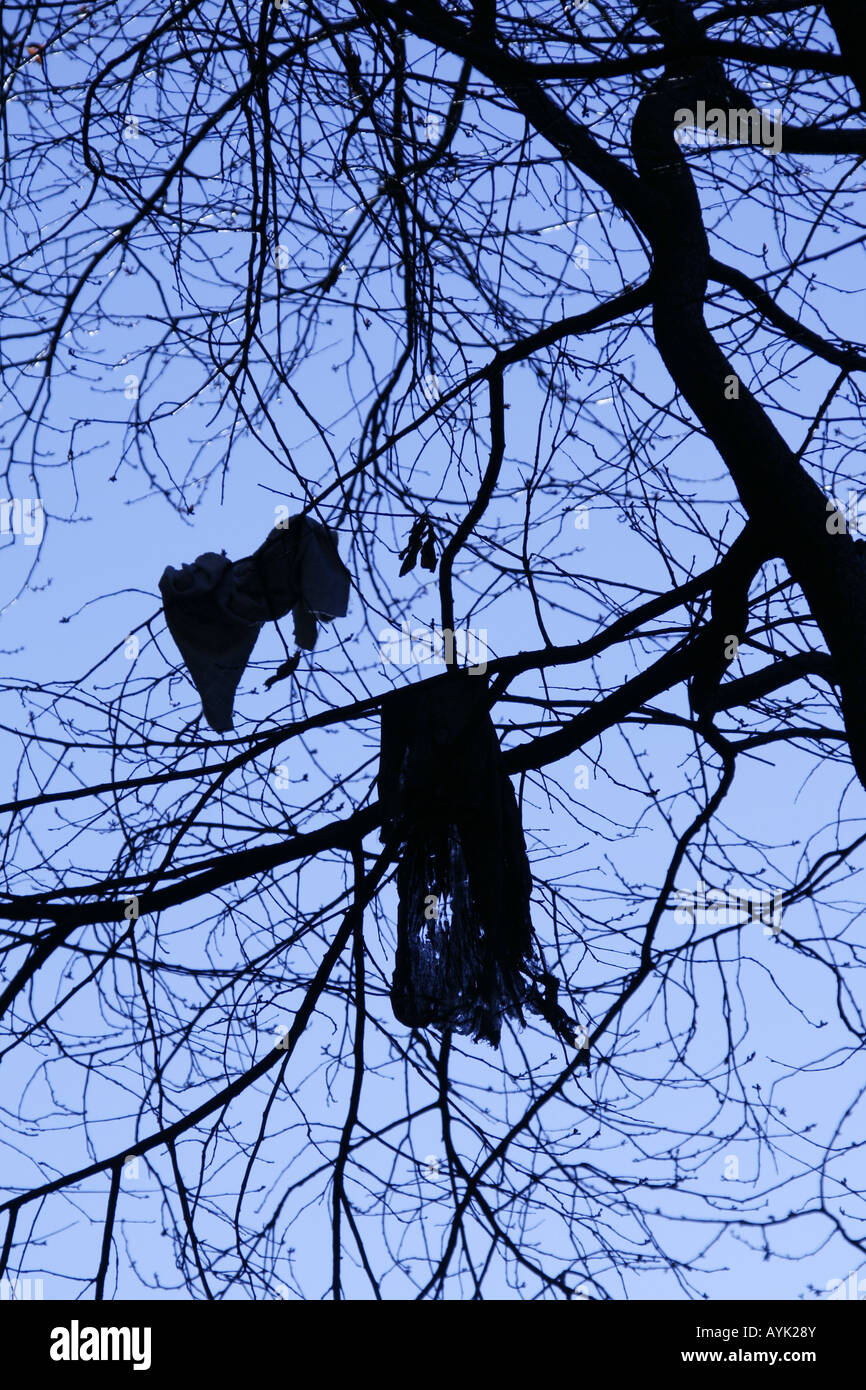 rubbish stuck in tree branches Stock Photo - Alamy