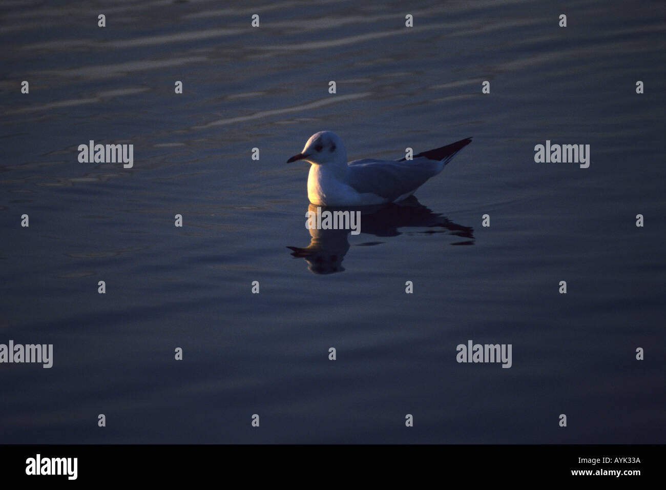 Turn ups hi-res stock photography and images - Alamy