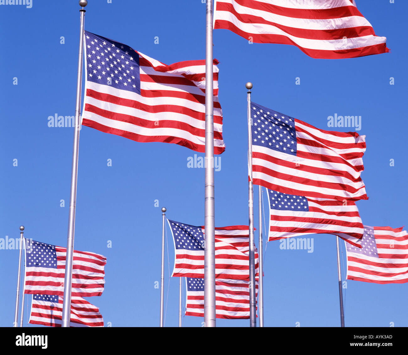 American flags stars stripes hi-res stock photography and images - Alamy