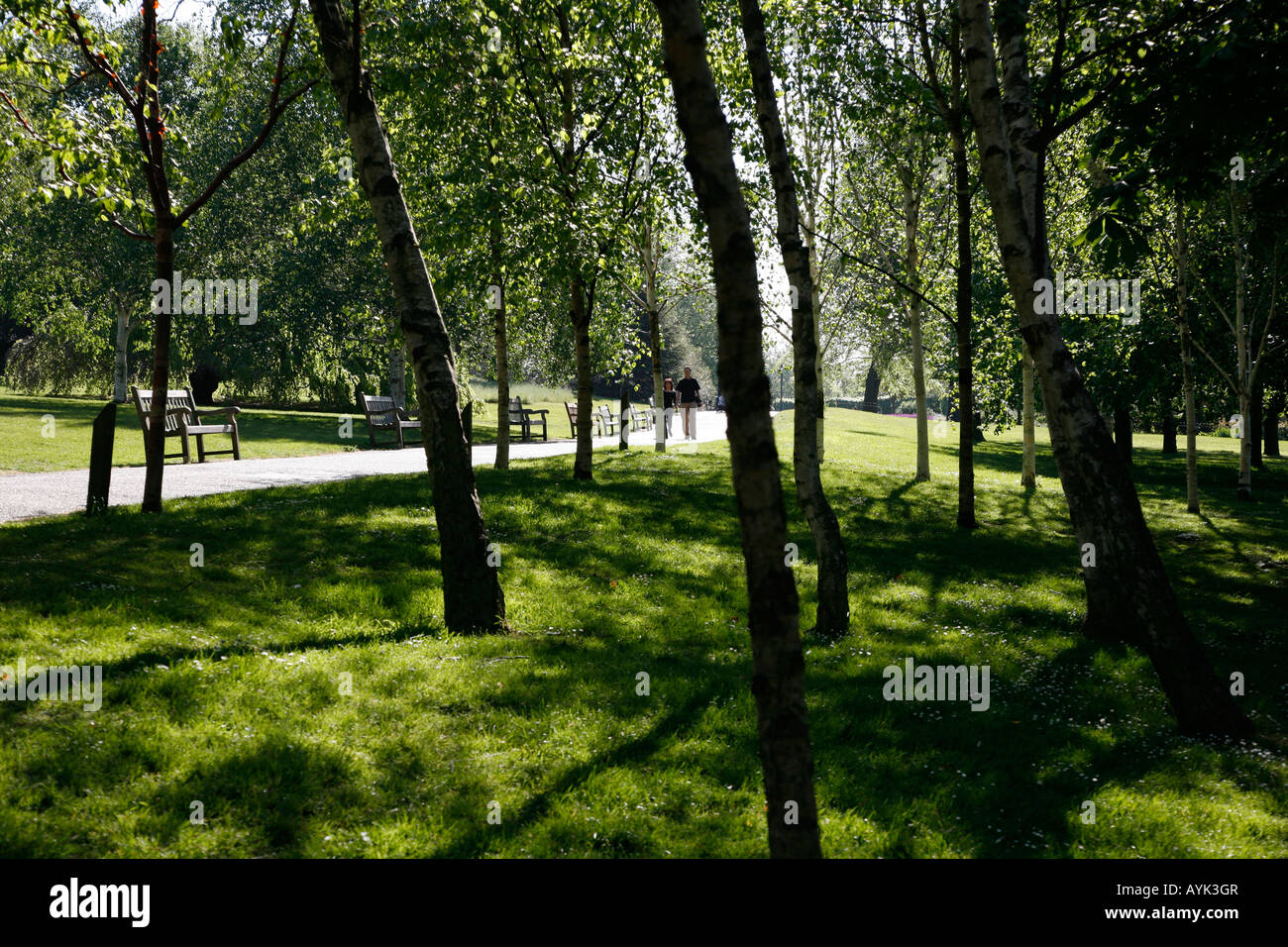 The Dell in Hyde Park, London Stock Photo - Alamy