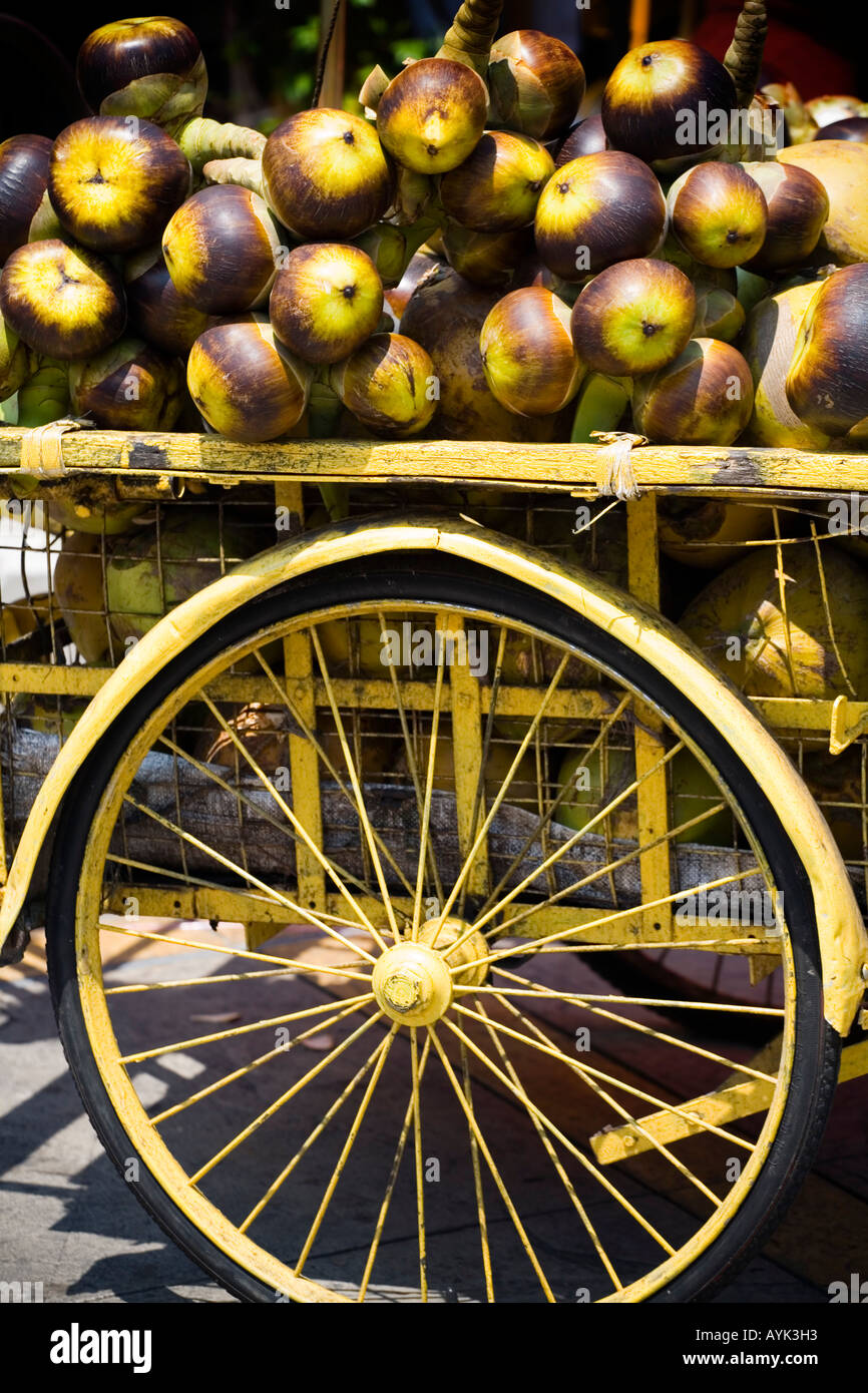 Load Of Coconuts High Resolution Stock Photography and Images - Alamy