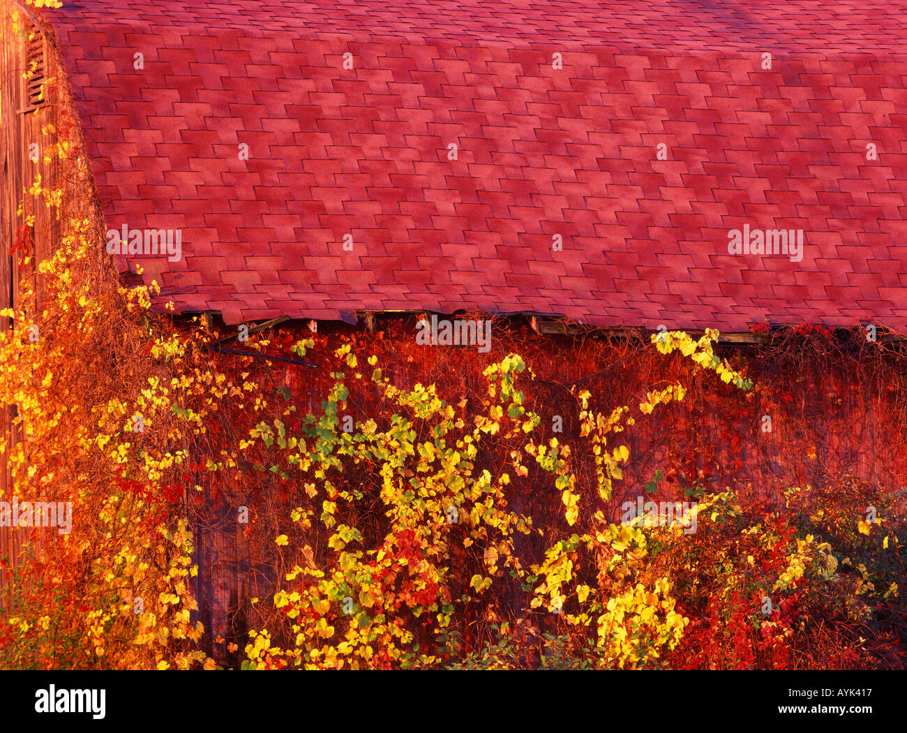 Wooden barn shingles hi-res stock photography and images - Alamy