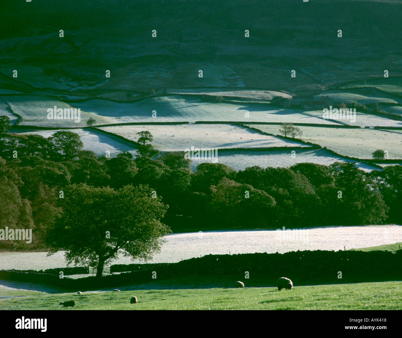 View over frosted fields at Cockayne, Bransdale, North Yorkshire ...