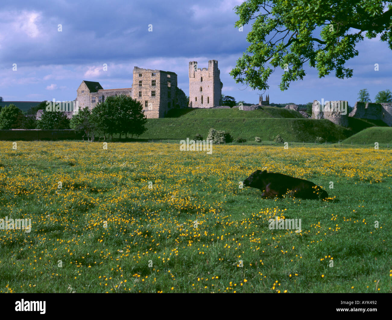 Helmsley Castle seen over its surrounding earthworks, Helmsley, North ...