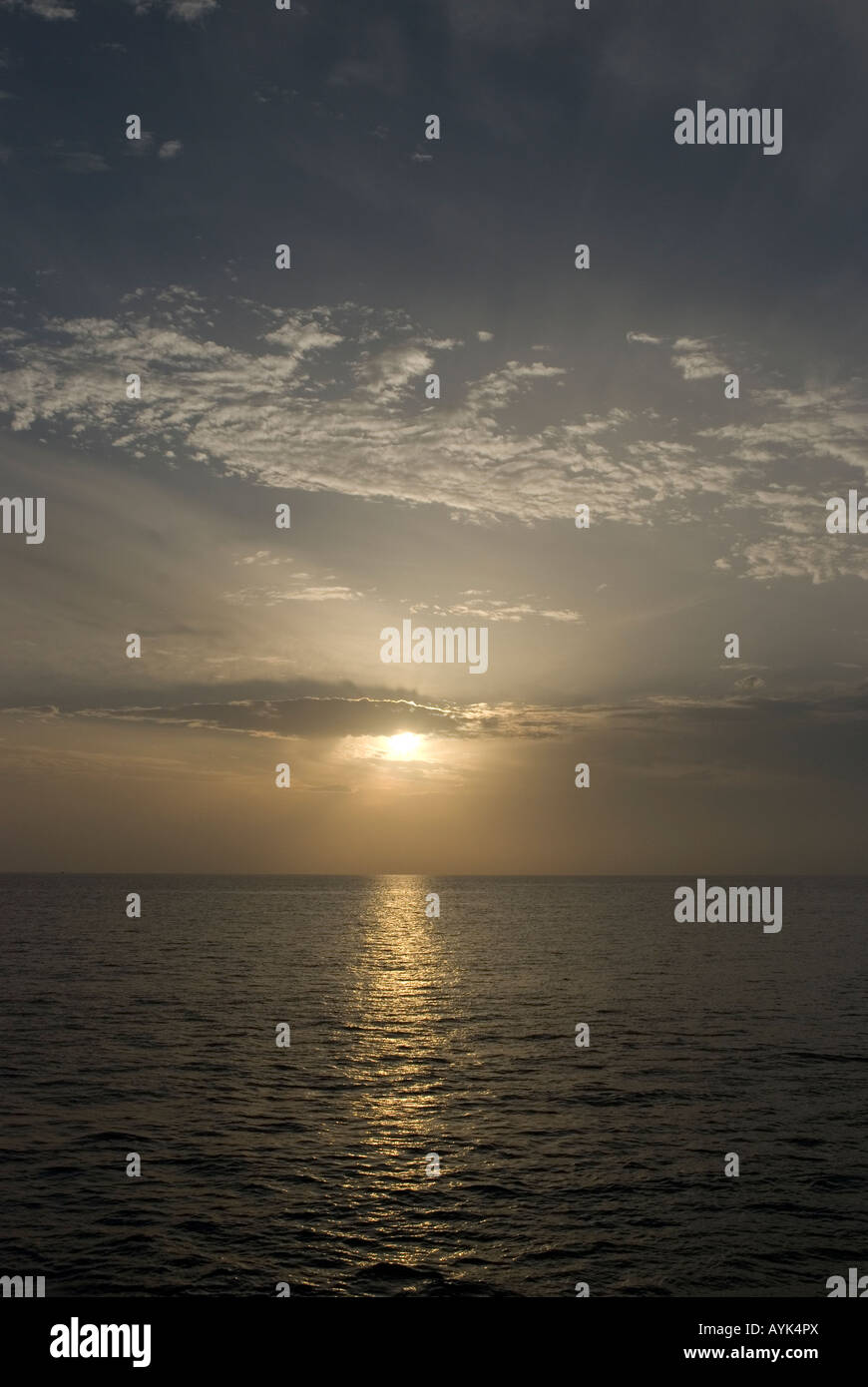 Southern red sea hi-res stock photography and images - Alamy