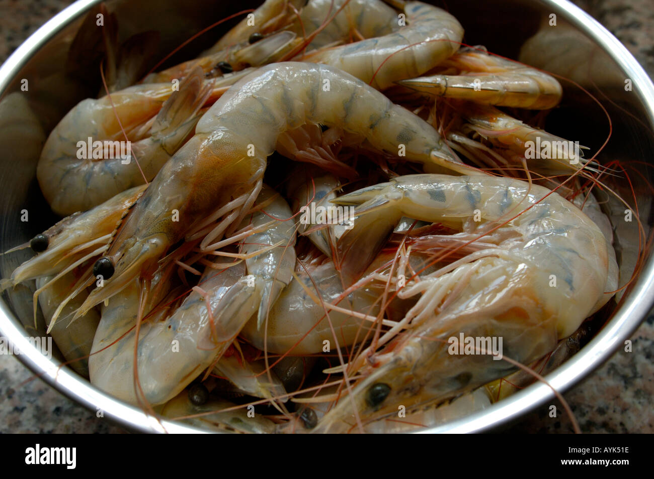 Crustaceans hi-res stock photography and images - Alamy