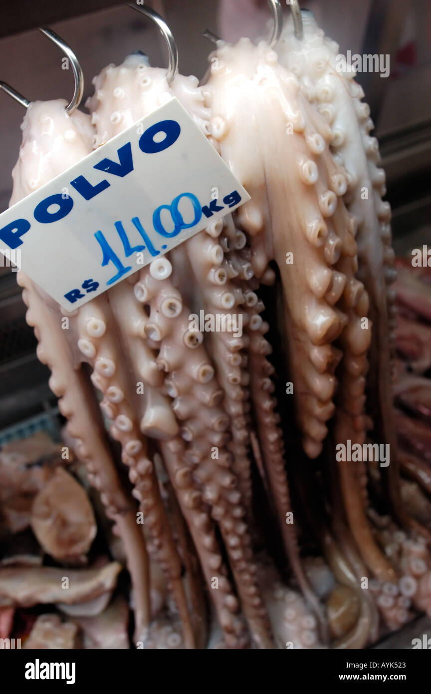 Octopus fish market mollusks Seafood tentacles Stock Photo - Alamy