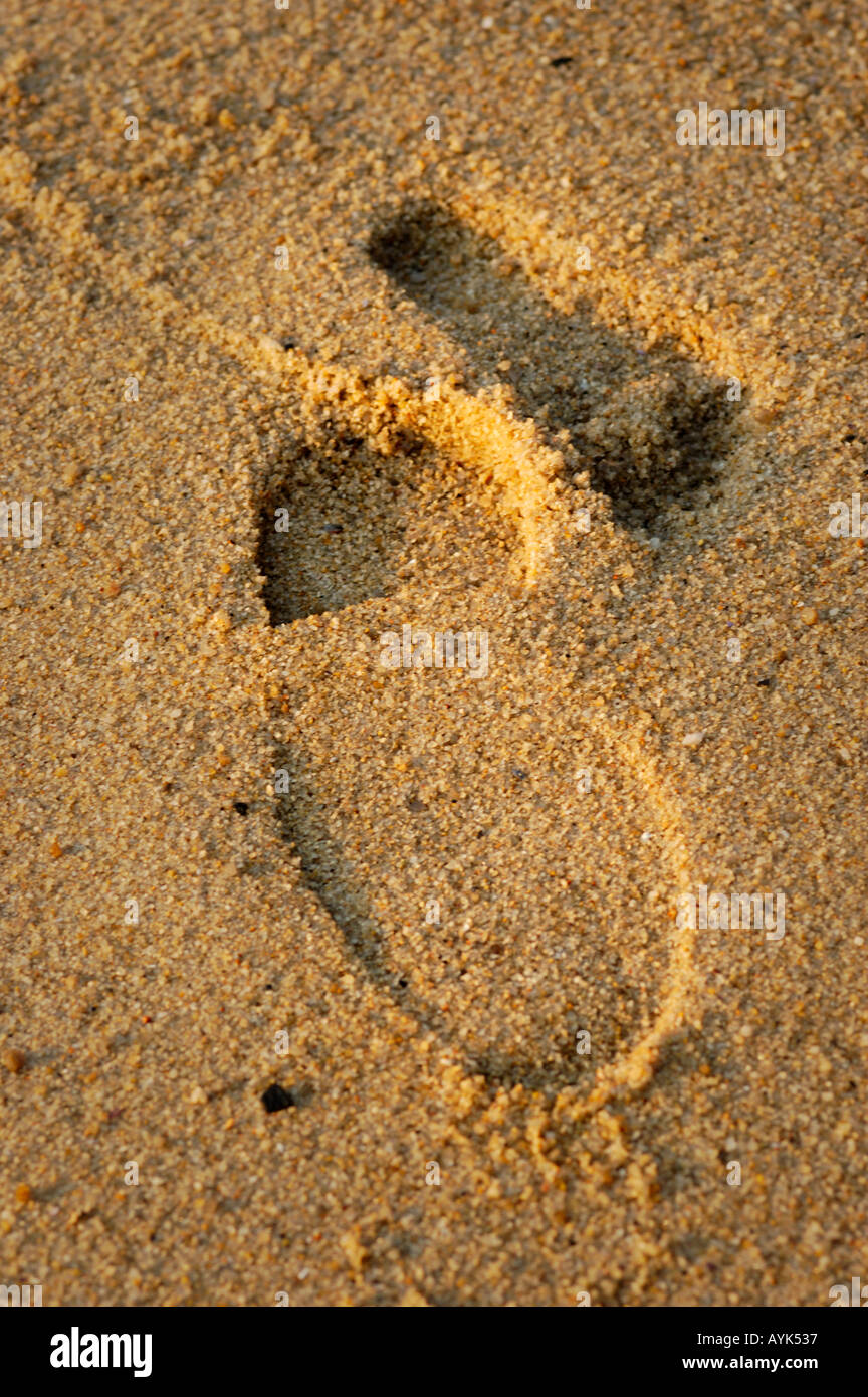 Father and son steps on the sand Stock Photo - Alamy
