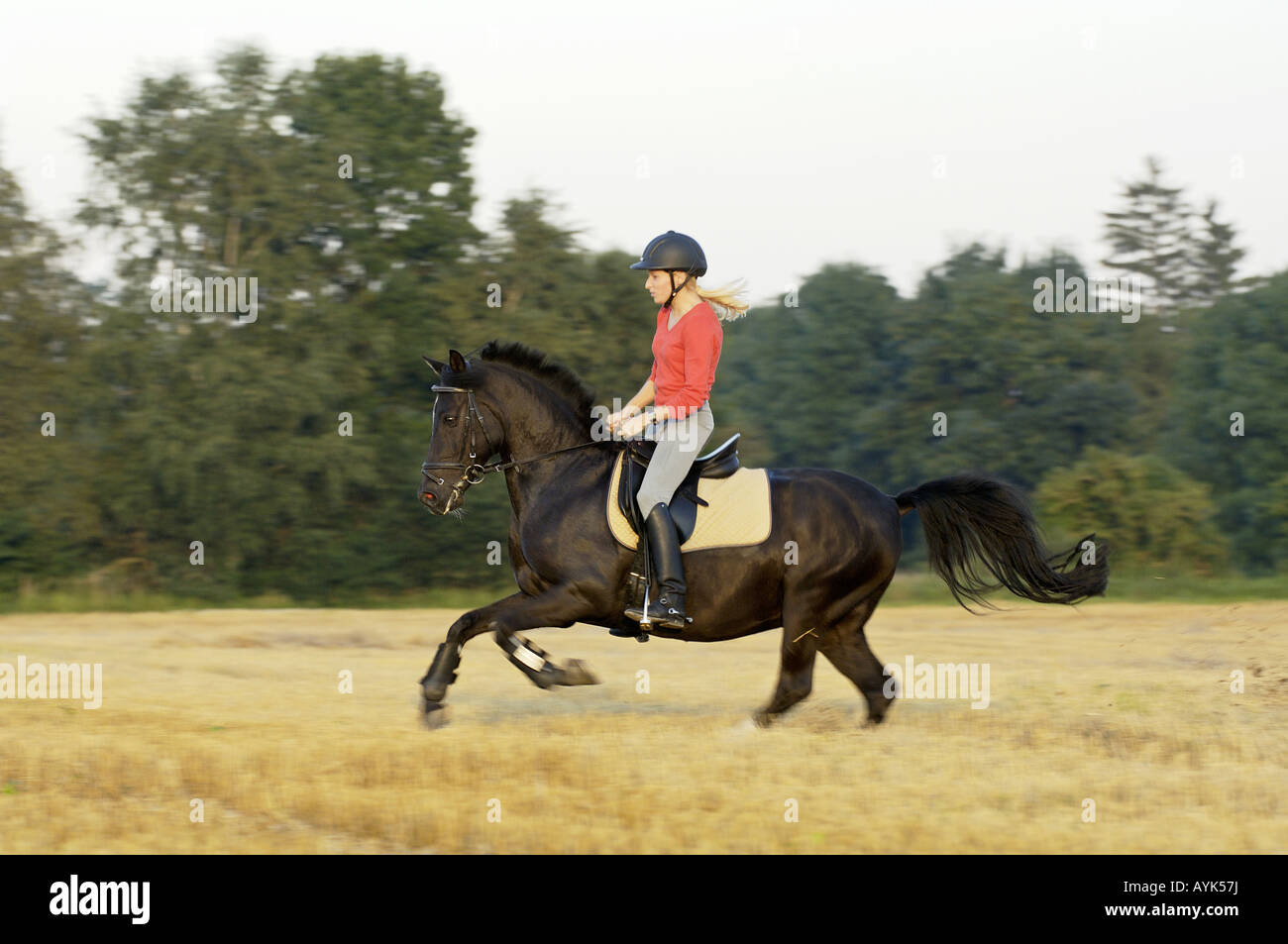 German female equestrian hi-res stock photography and images - Alamy