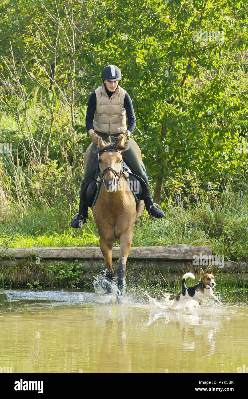 Female rider hi-res stock photography and images - Alamy