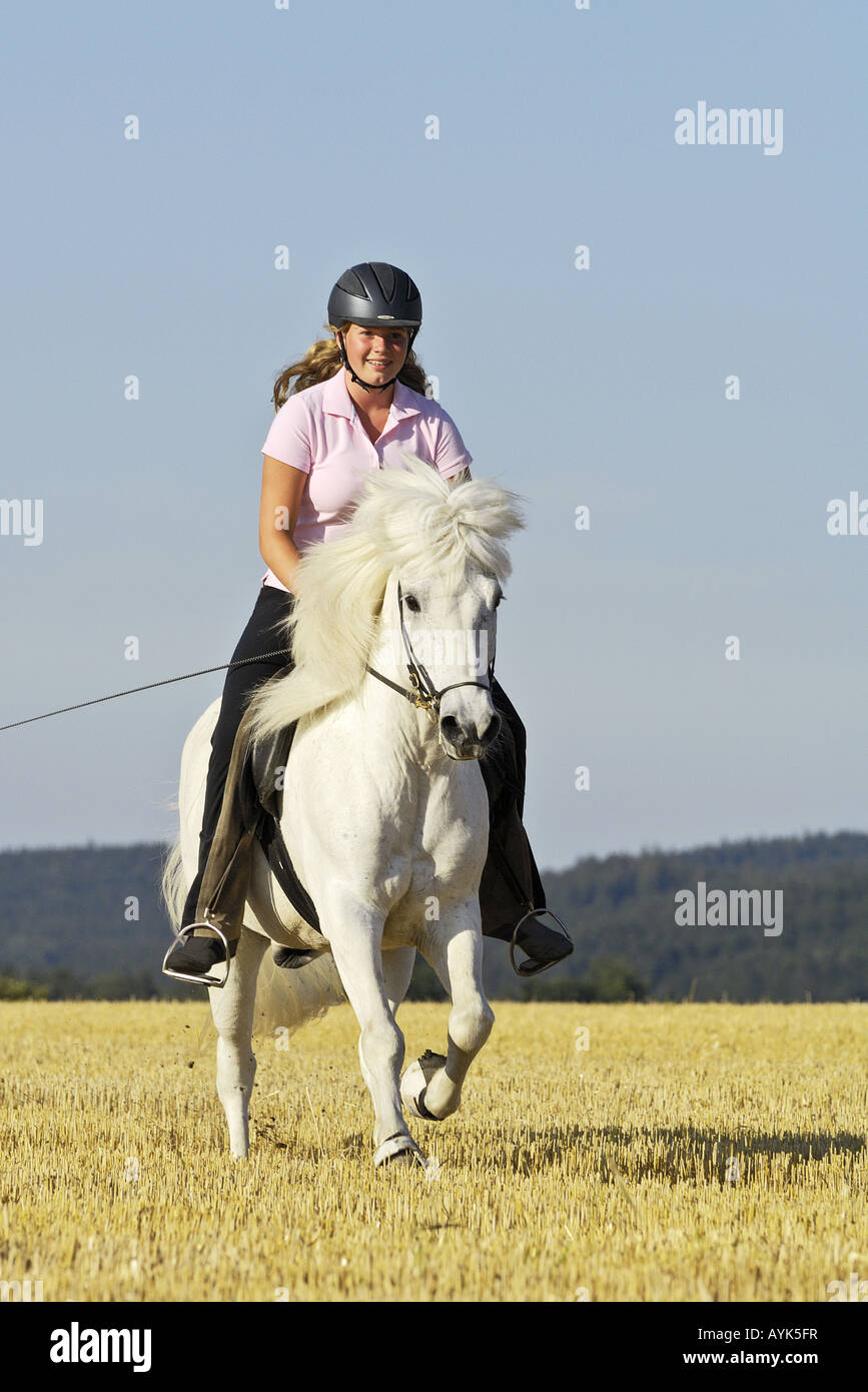 Animal canter cantering field gallop galloping horse hi-res stock ...