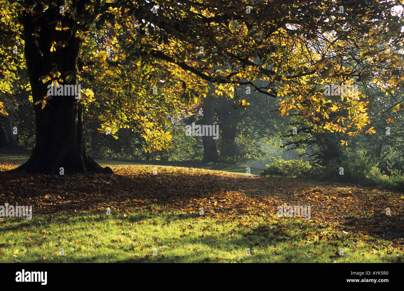 Priory park warwick hi-res stock photography and images - Alamy