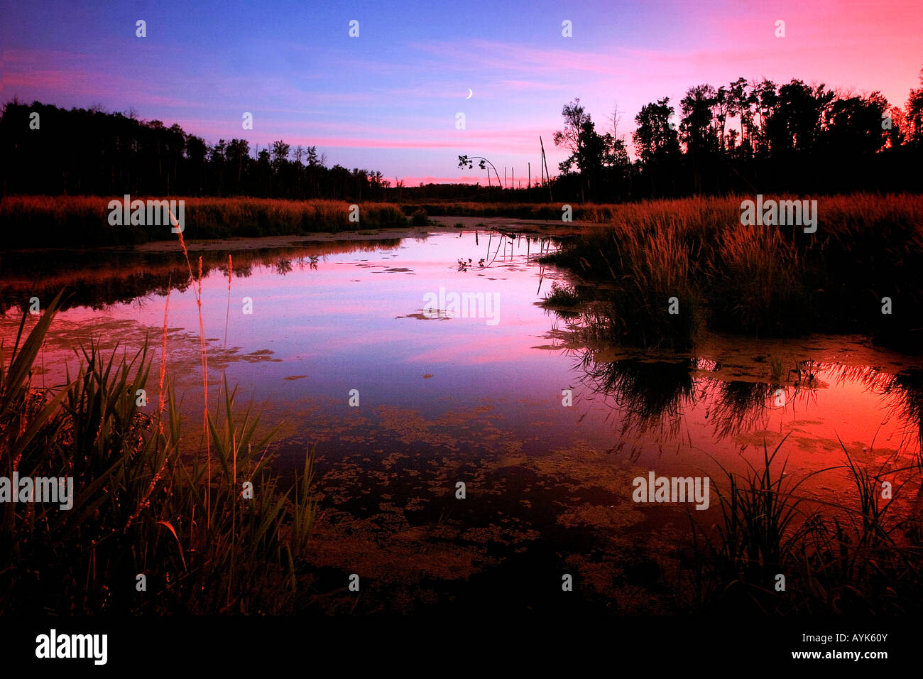 Sunset over river Stock Photo - Alamy