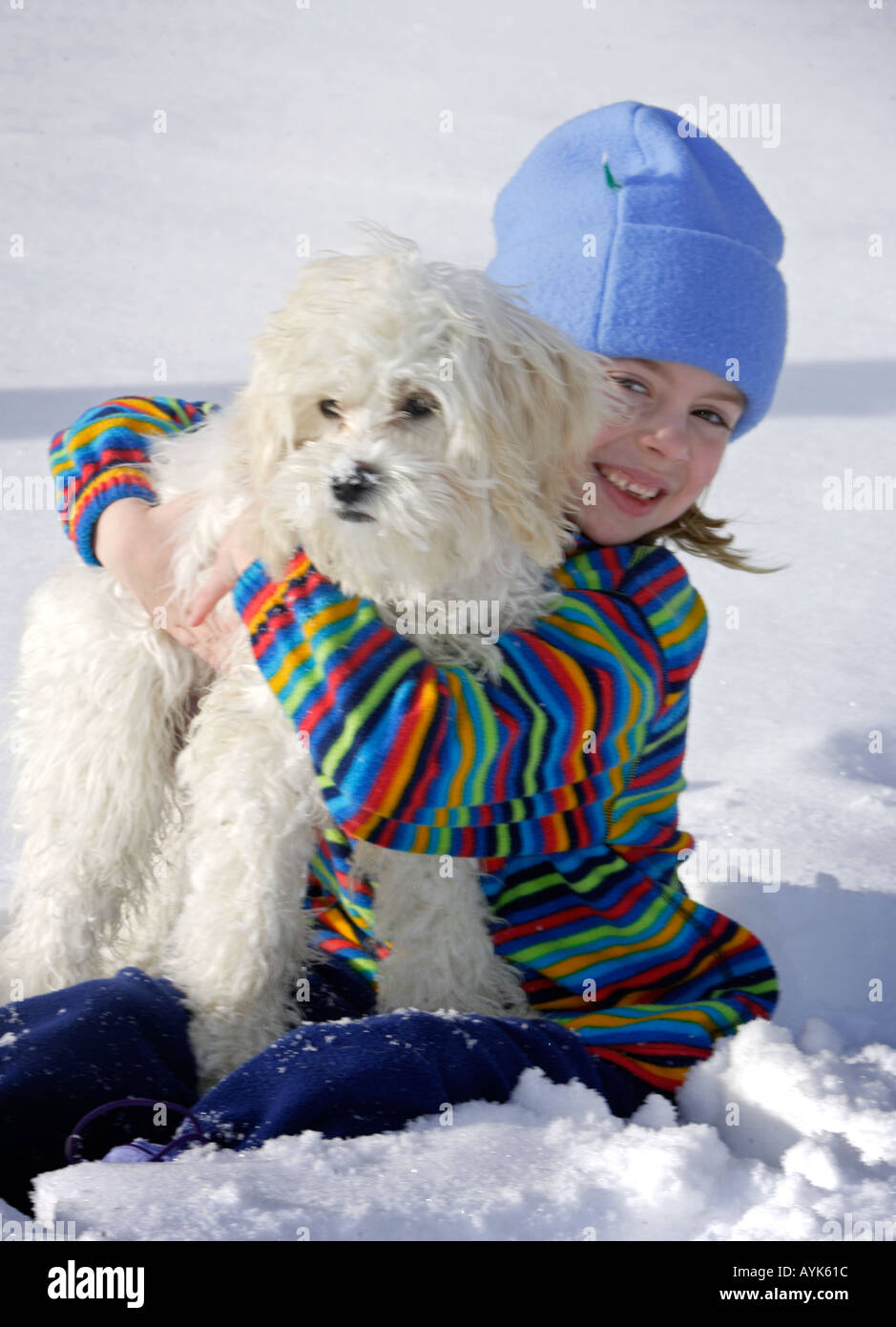Cockapoo puppy children hi-res stock photography and images - Alamy
