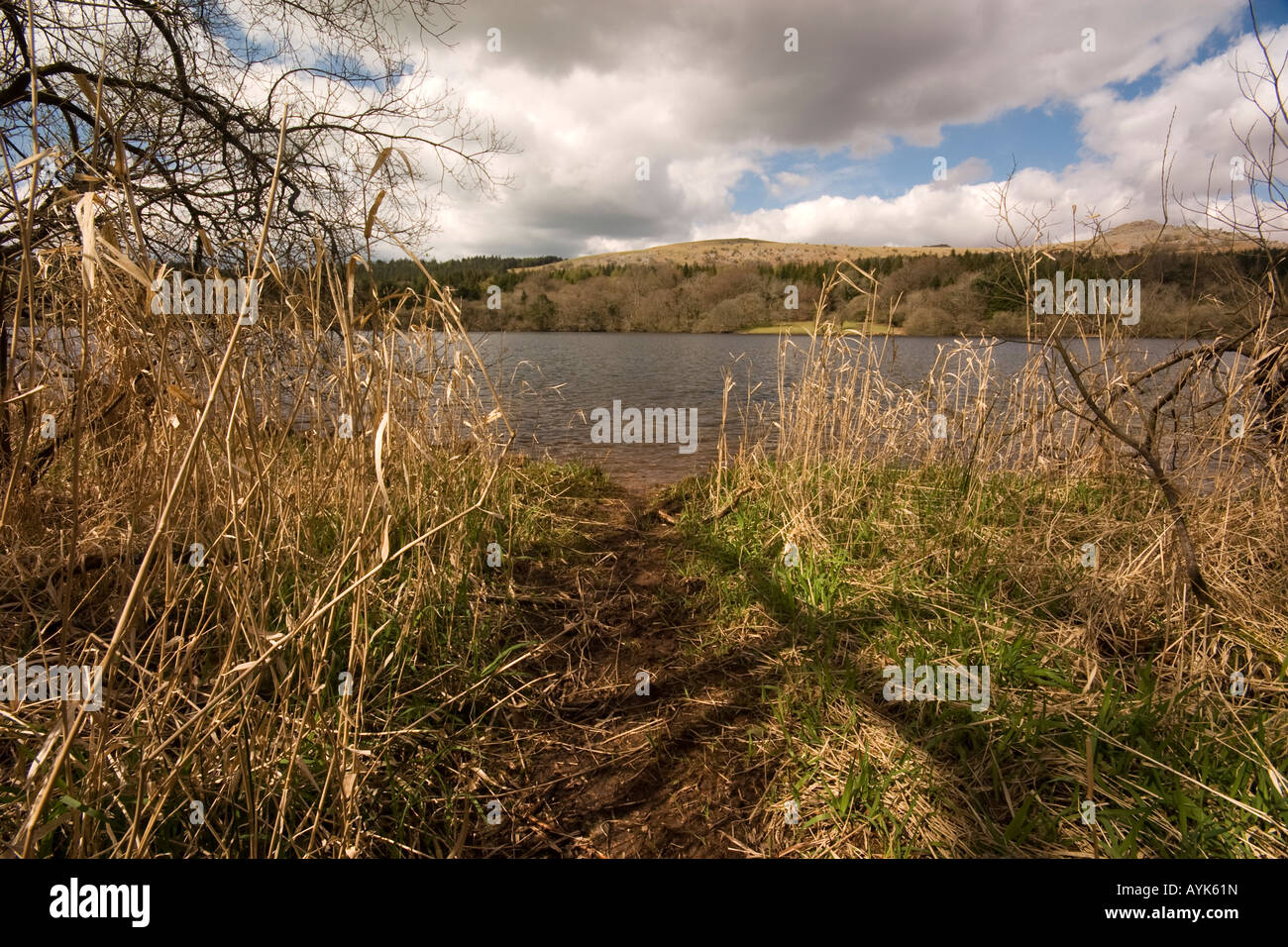 Burrator Reservoir on a Spring Afternoon Stock Photo - Alamy
