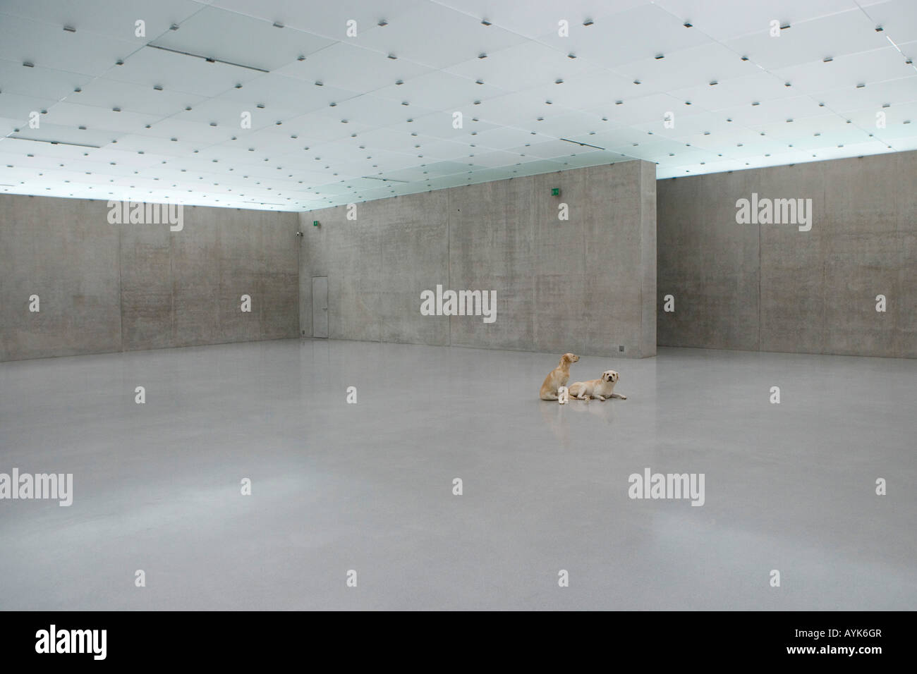 Museum Kunsthaus Bregenz built by the swiss architect Peter Zumthor ...