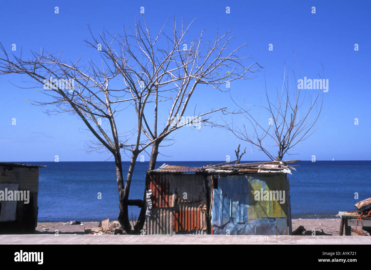 Portsmouth Dominica seashore corrugated iron shack with possibly dead ...