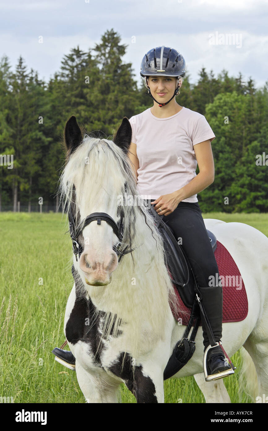 Tinker Horse High Resolution Stock Photography and Images - Alamy