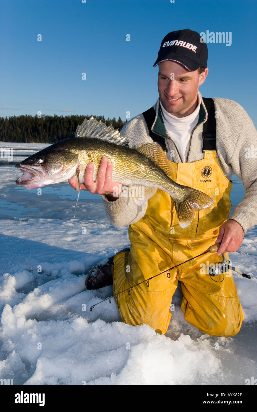 Angler holding walleye hi-res stock photography and images - Alamy