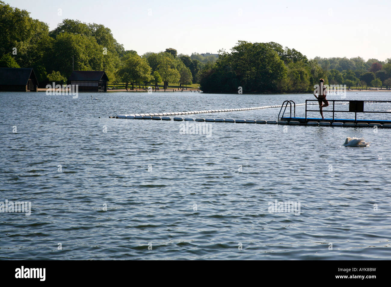 Serpentine Lido in Hyde Park, London Stock Photo - Alamy