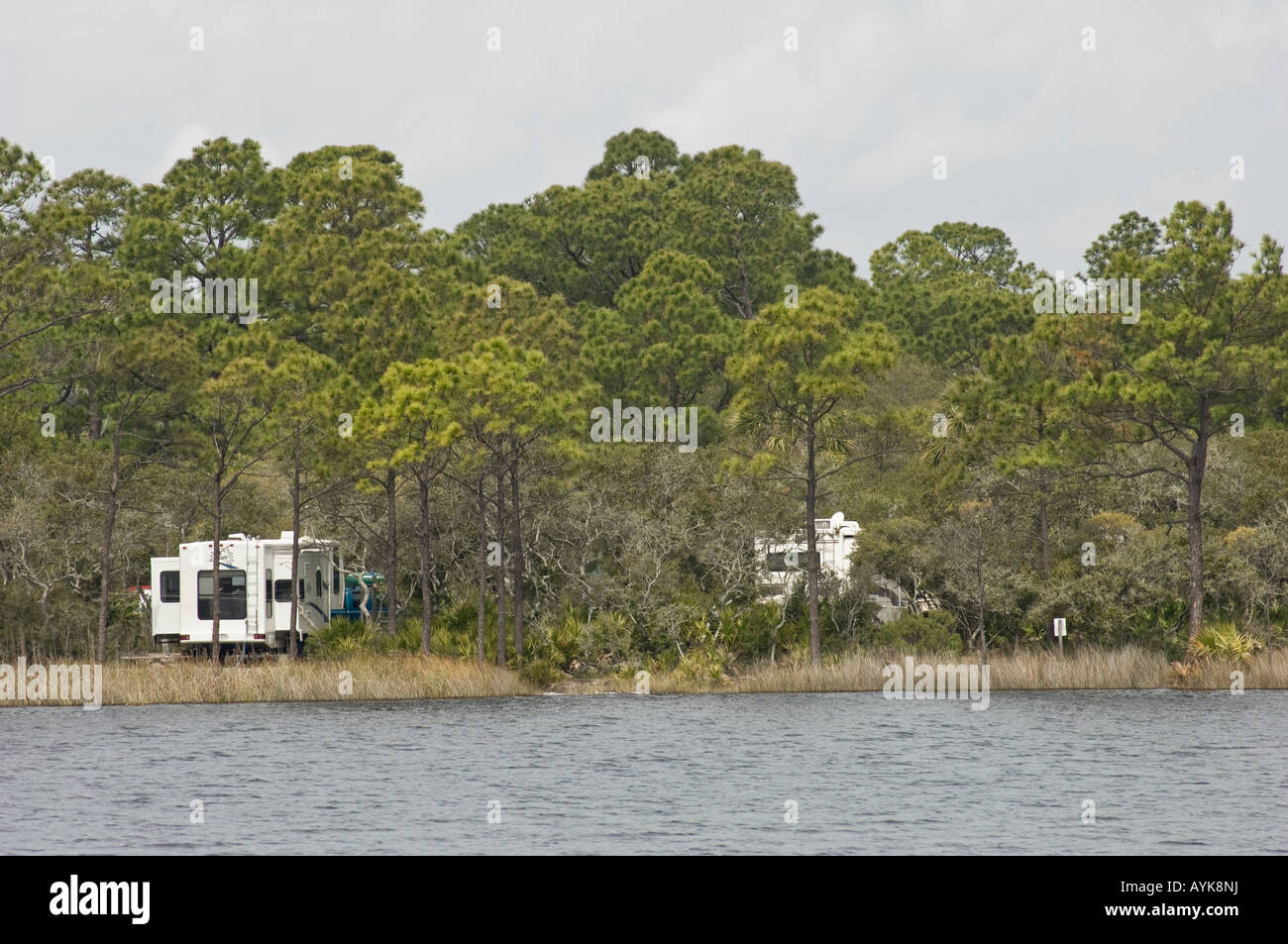 Grayton Beach State Park Florida Stock Photo - Alamy