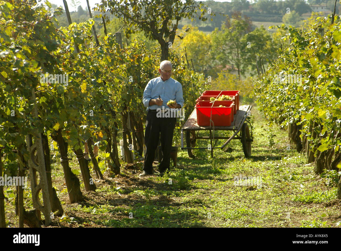 Contadino italia hi-res stock photography and images - Alamy