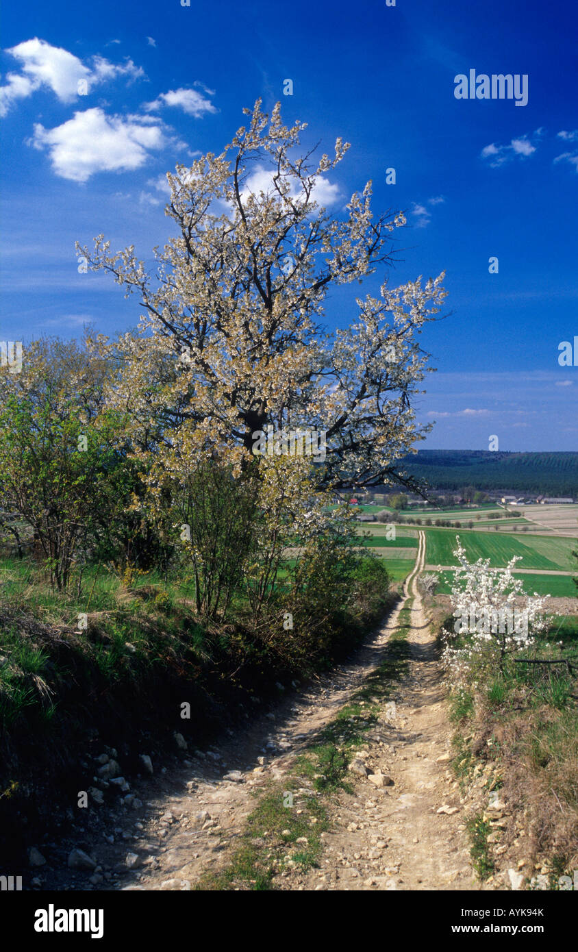 Polish Poland landscape scenery Stock Photo - Alamy