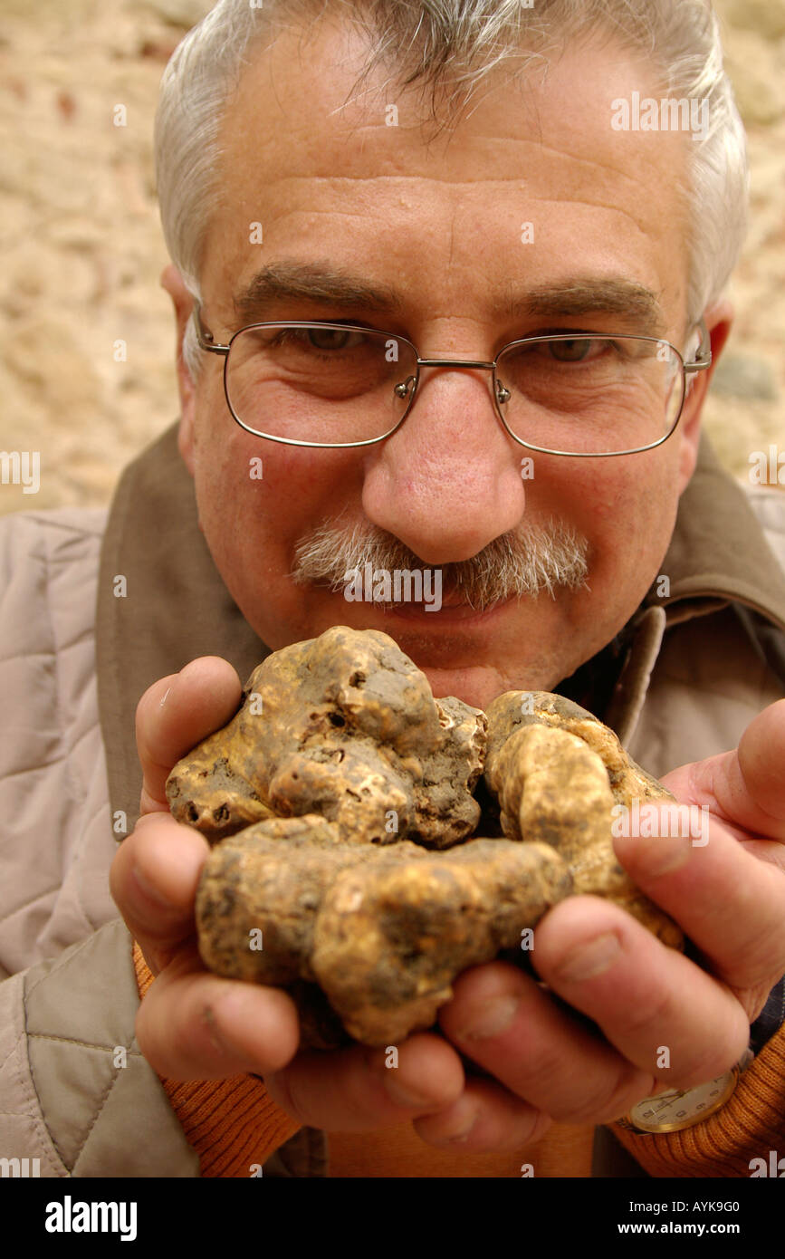 Man smells the rich fragrance of white truffles upright vertical ...