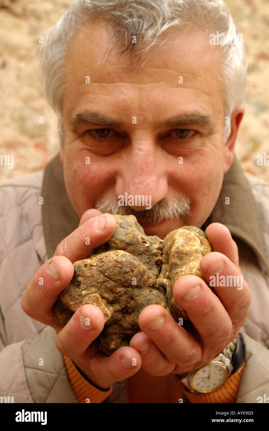 Man smells the rich fragrance of white truffles upright vertical ...