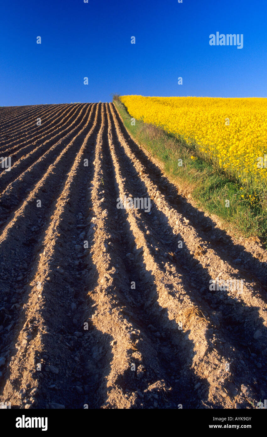 Polish Poland landscape scenery Stock Photo - Alamy