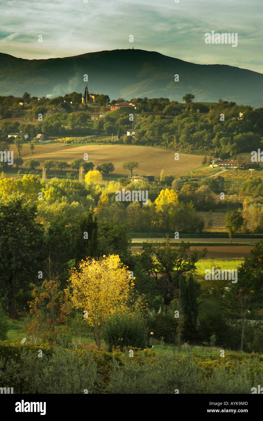 Citerna frazione Umbria Italy upright vertical portrait Stock Photo - Alamy