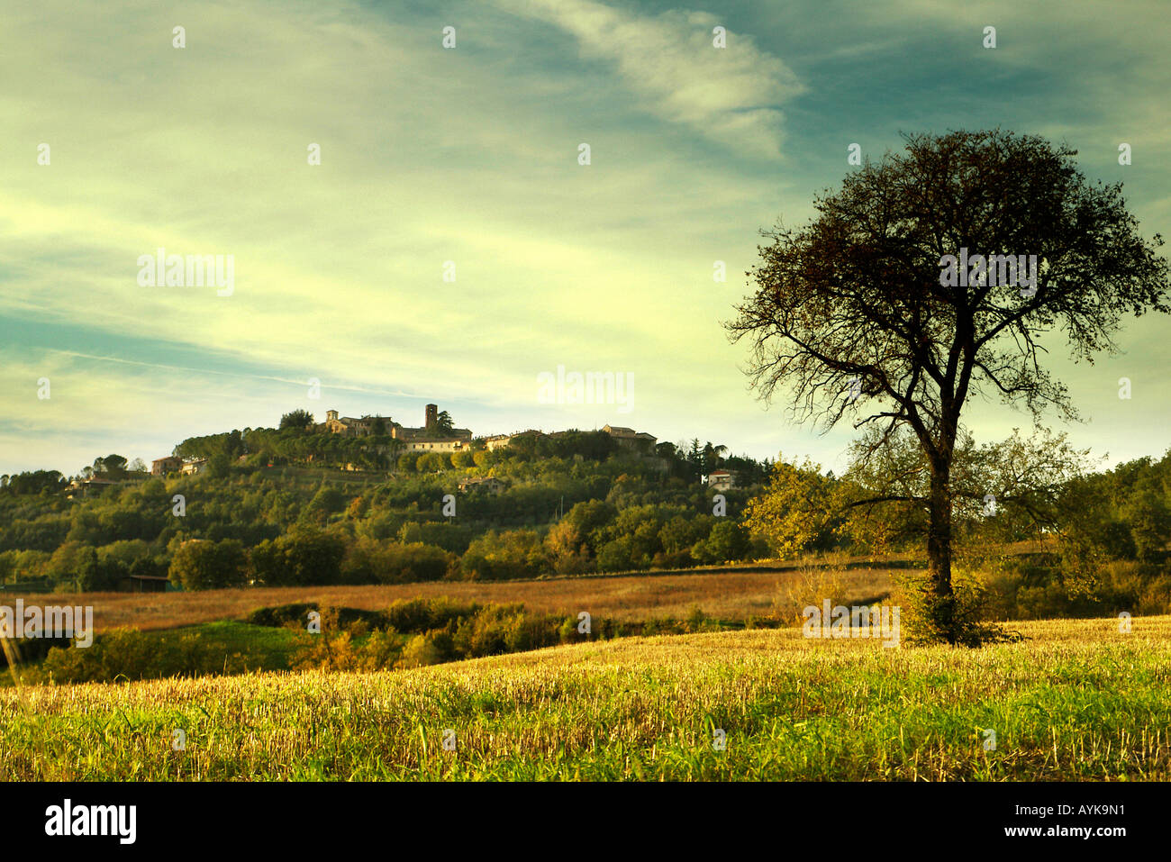 Citerna medieval town Umbria Italy Stock Photo - Alamy