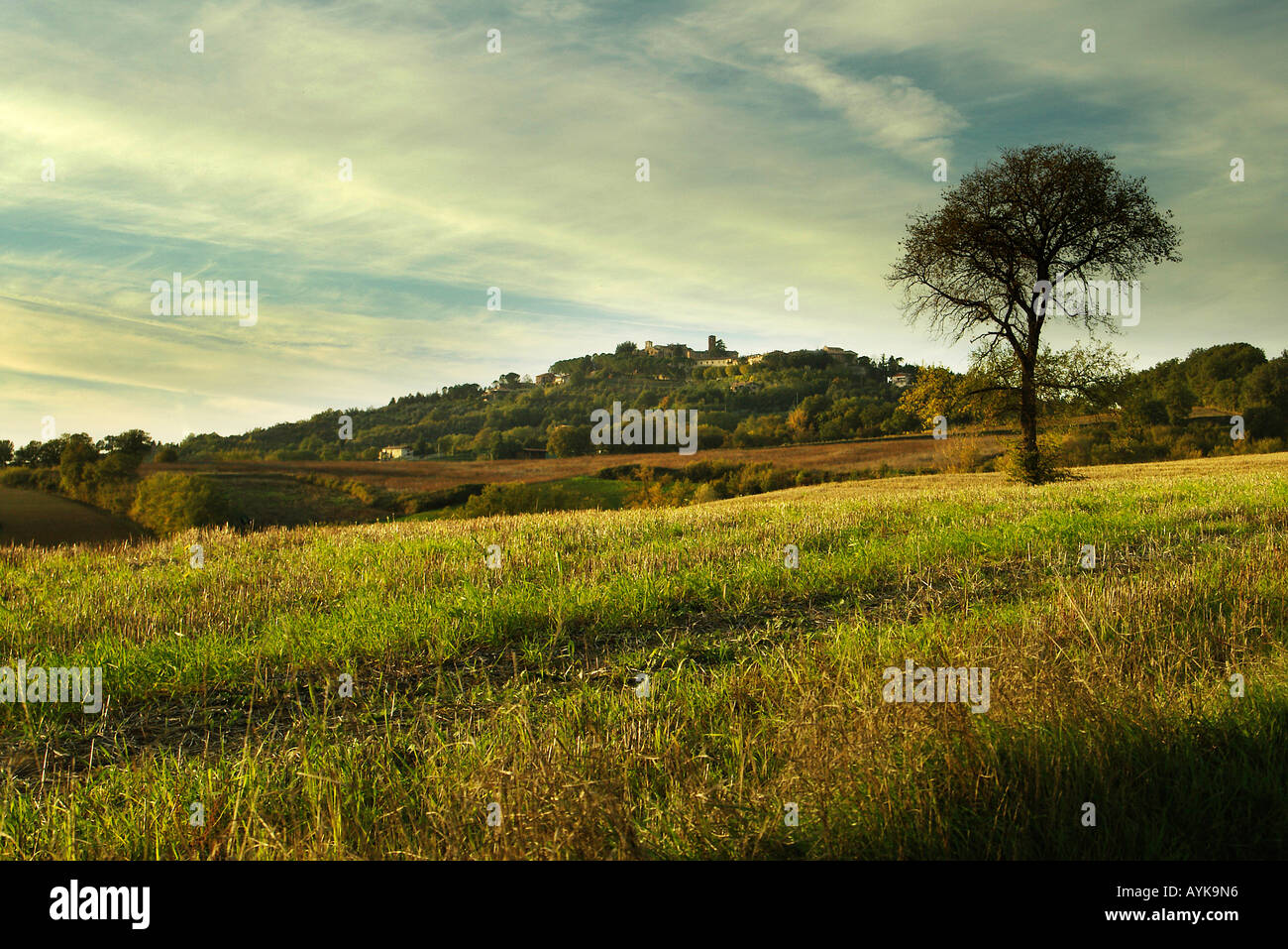 Citerna medieval town Umbria Italy Stock Photo - Alamy