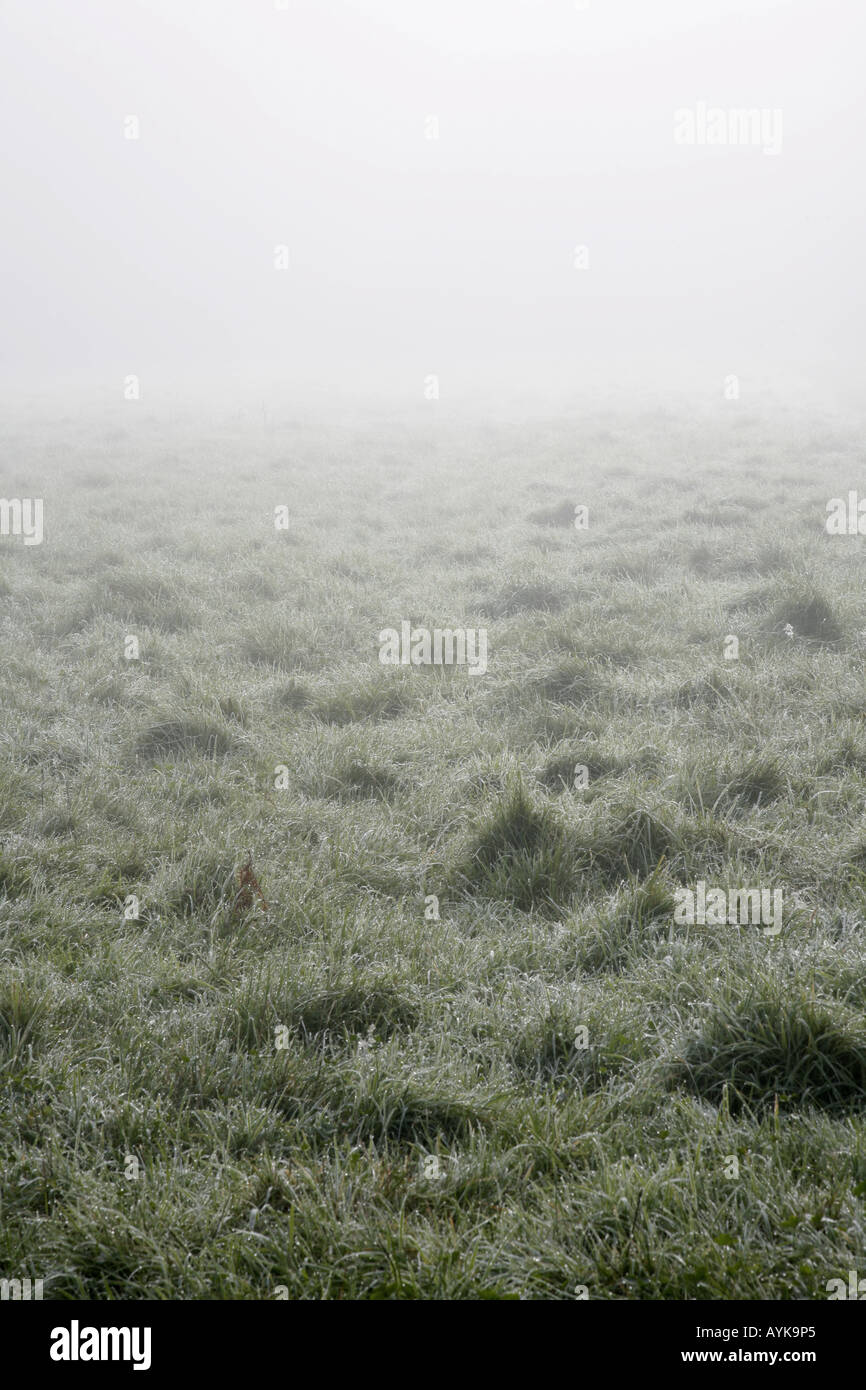 Wet field on foggy day, England Stock Photo - Alamy