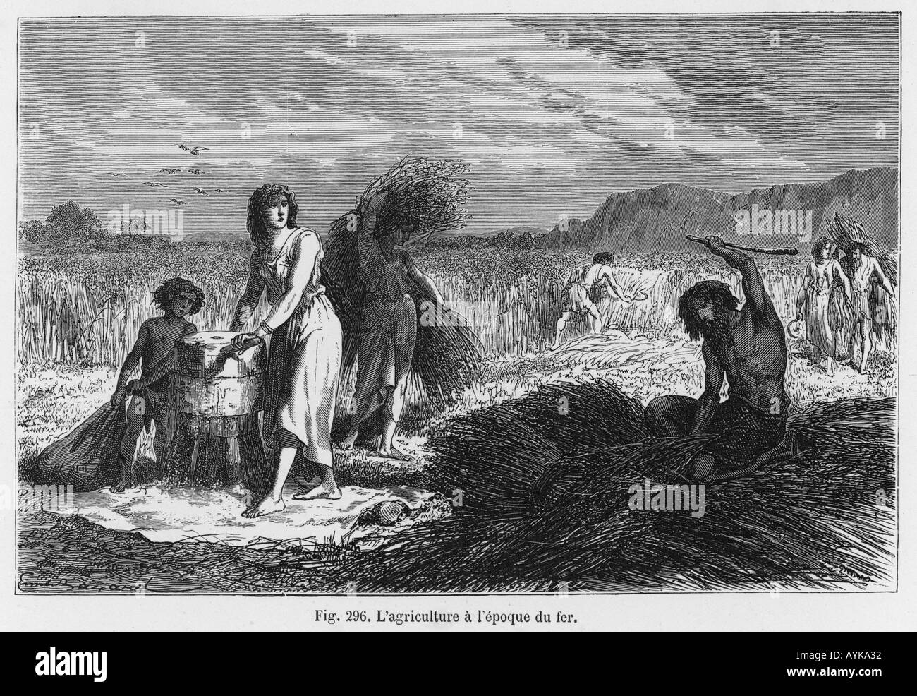 Iron age farming hi-res stock photography and images - Alamy