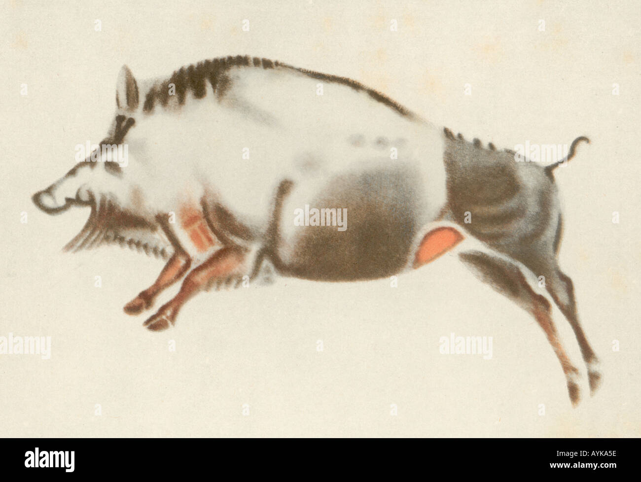 Altamira cave painting hi-res stock photography and images - Alamy