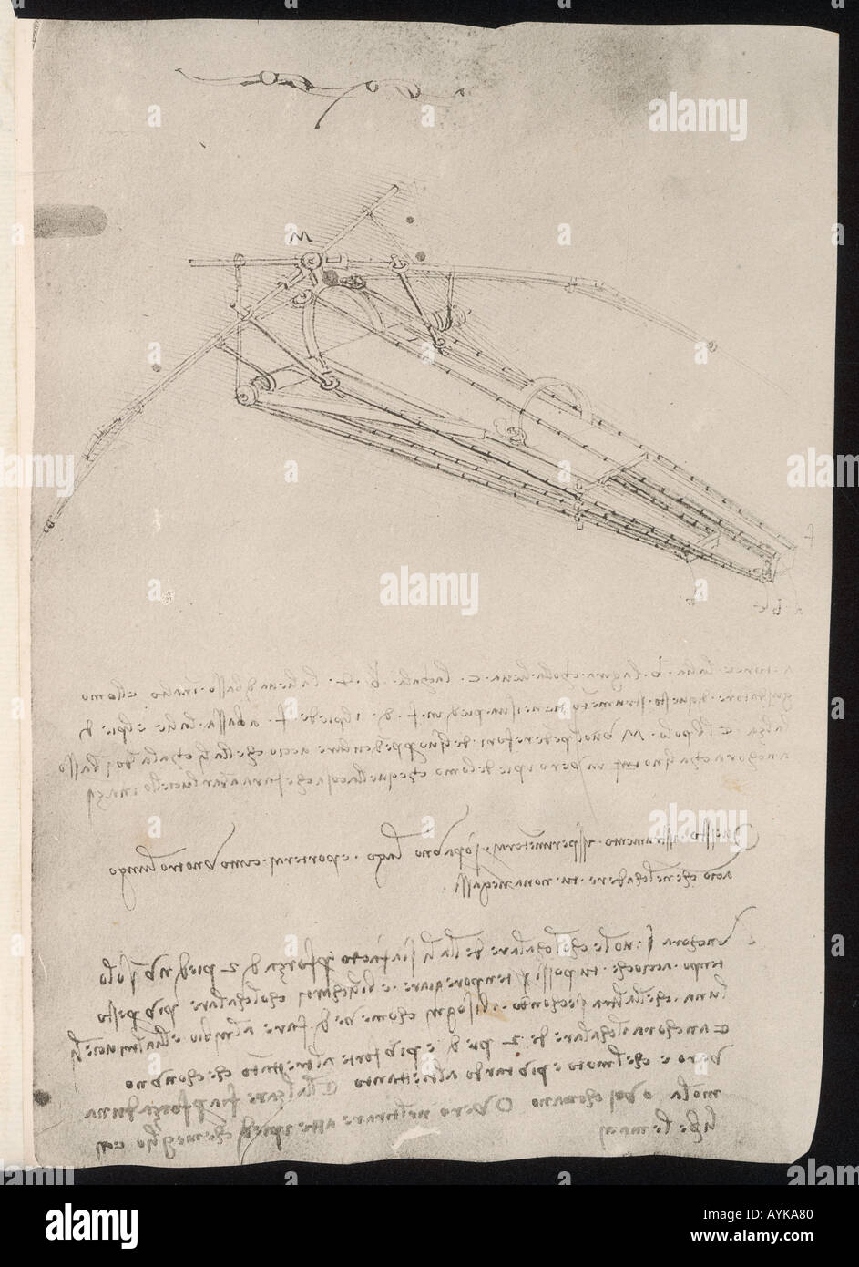 Leonardo da vinci flying machine hi-res stock photography and images ...