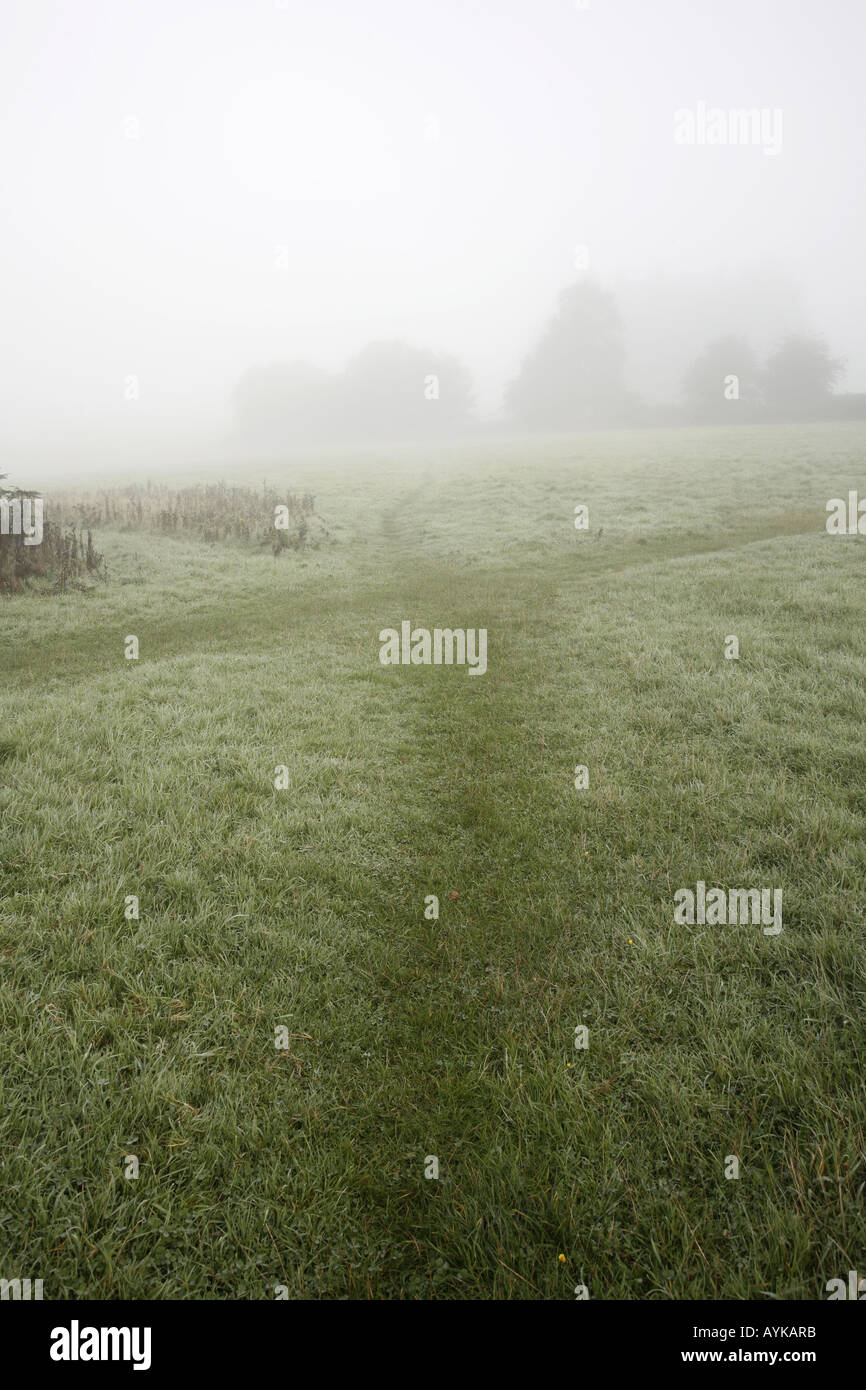 Track across field hi-res stock photography and images - Alamy