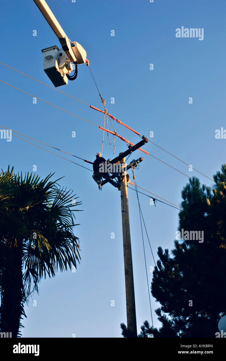 A utility company electrician stands at the top of a power pole ...