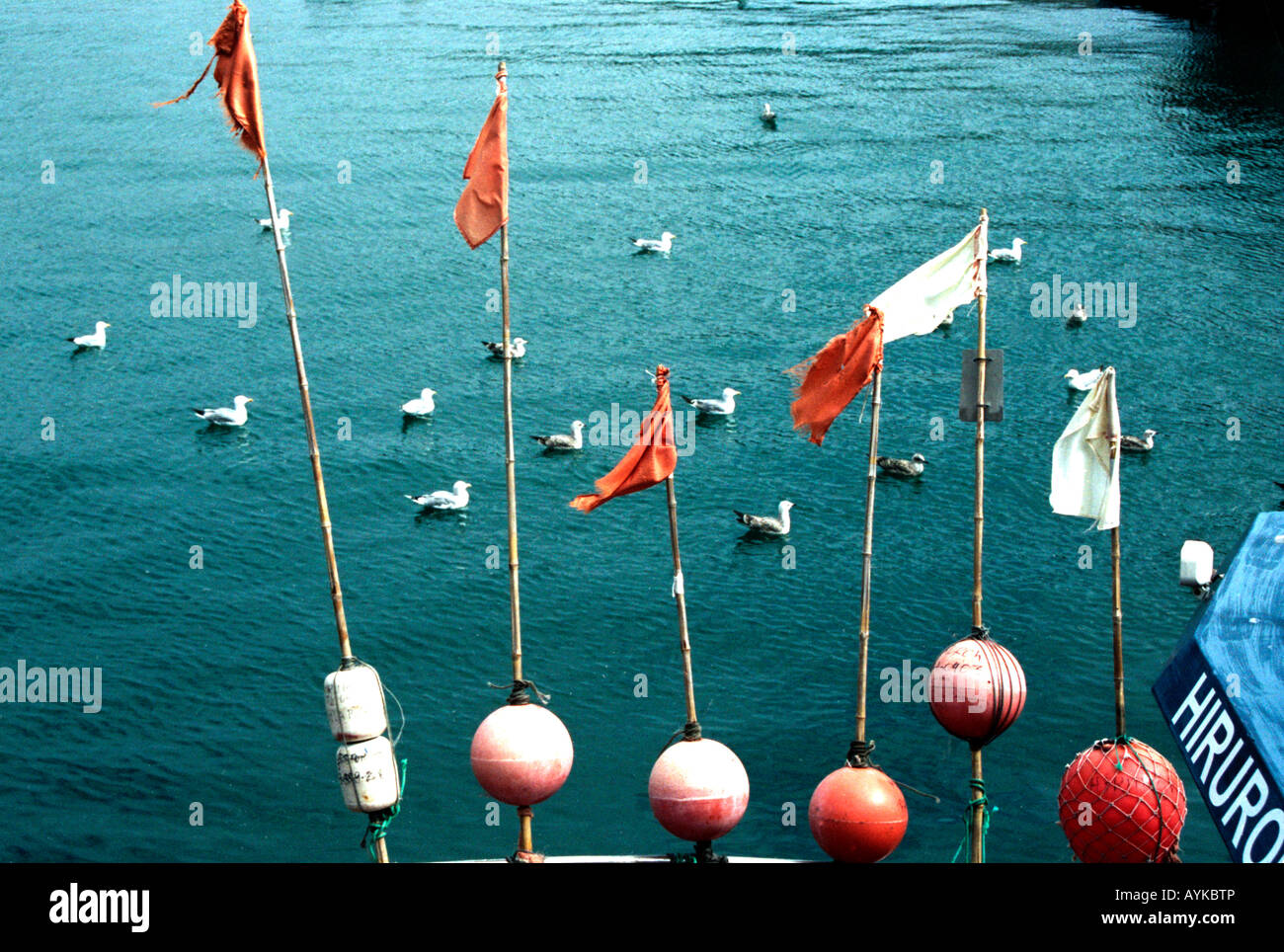 Seagulls and buoys in Spanish harbour Stock Photo - Alamy