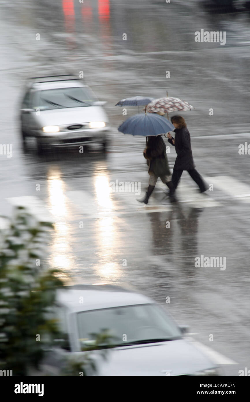 people with umbrellas crossing road in rain Stock Photo - Alamy