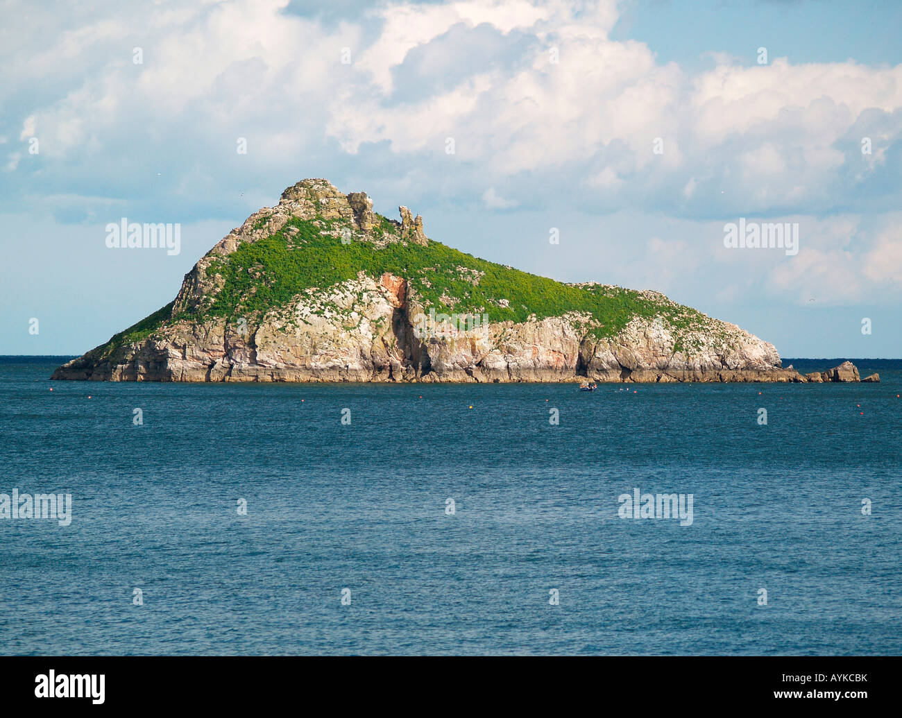 Thatcher Rock Torbay Devon England Stock Photo - Alamy