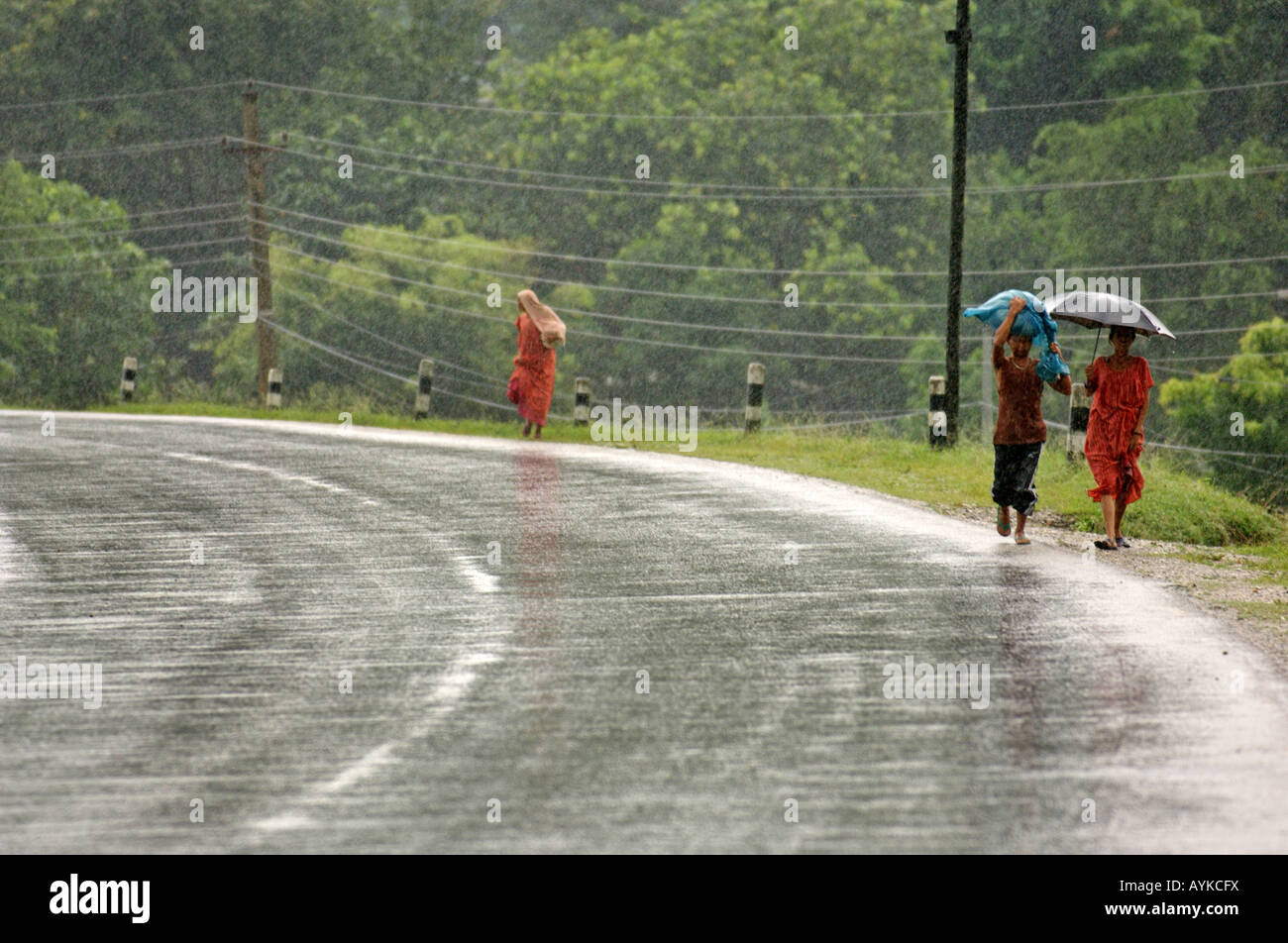 Monsoon season in the South Eastern Tarai plains which stretch the ...