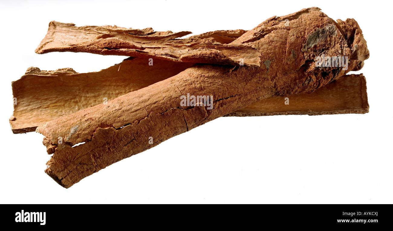 cinnamon sticks close up detail Stock Photo - Alamy