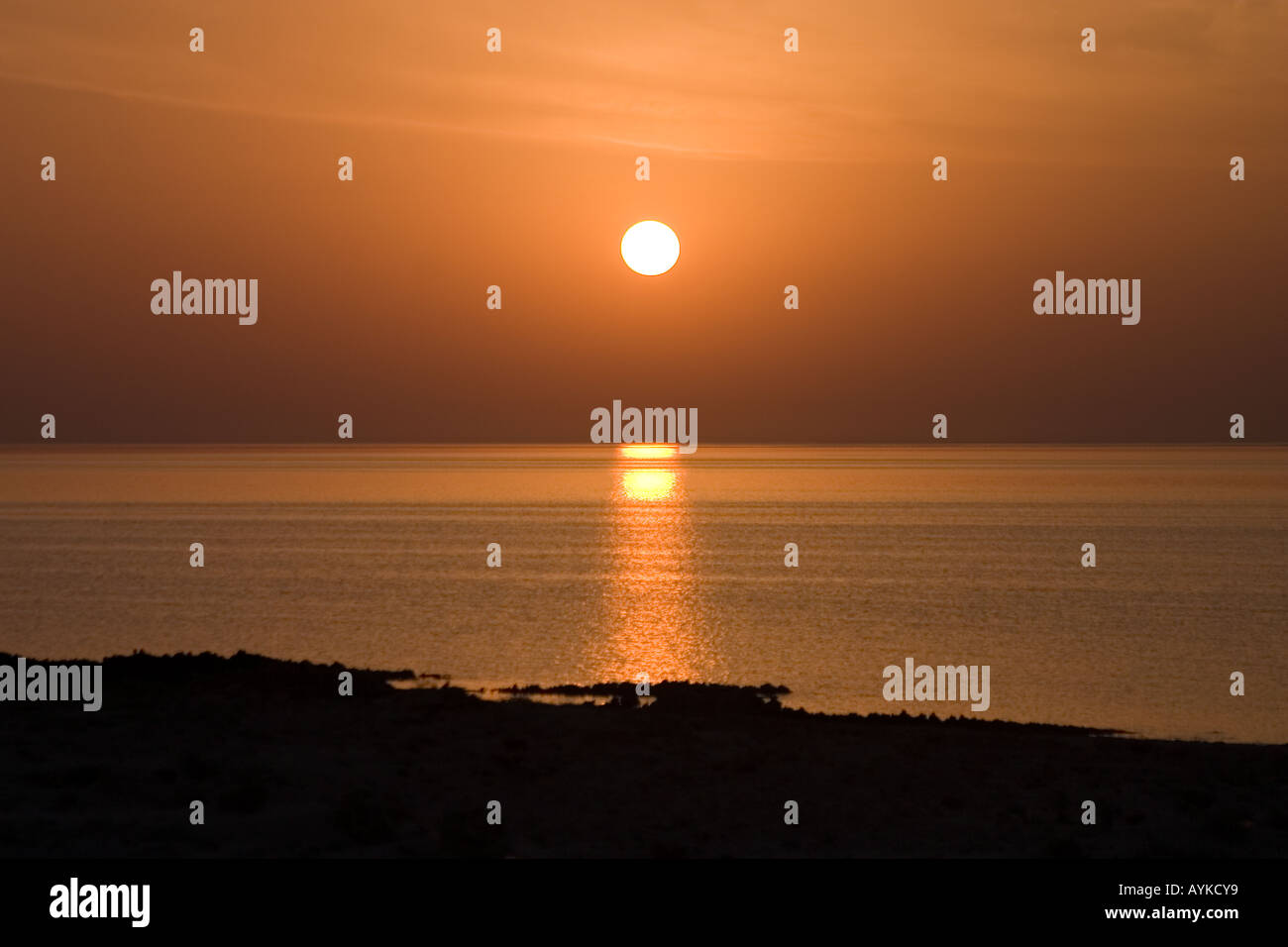 Qatar grain hi-res stock photography and images - Alamy