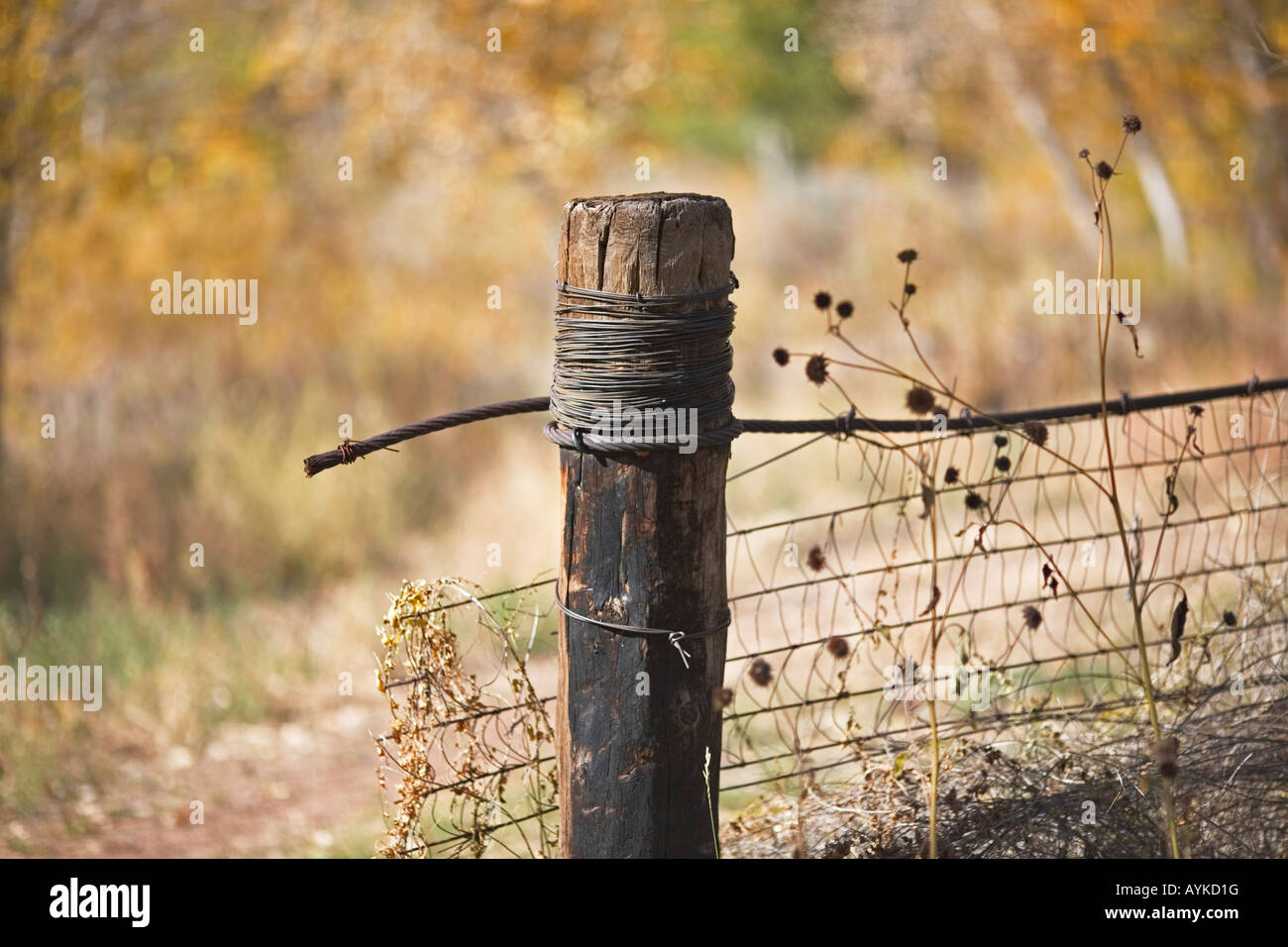 Cable and fence post Stock Photo - Alamy